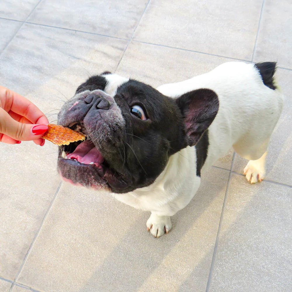 Barker Bites Pollo